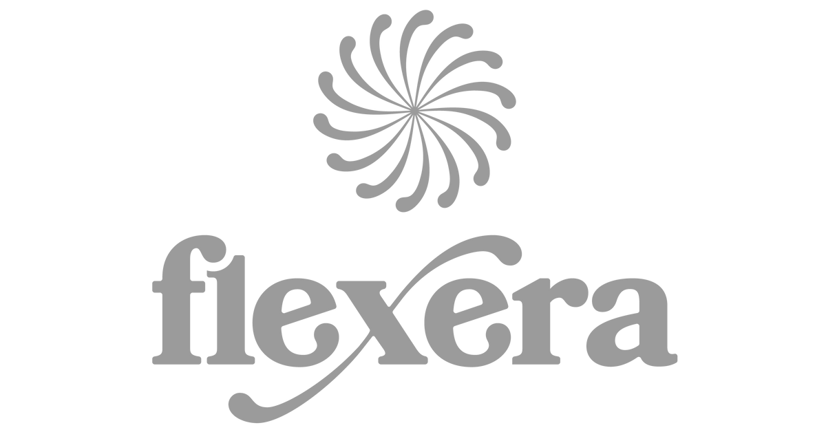 Flexera Logo Asset Panda Vs. Flexera One